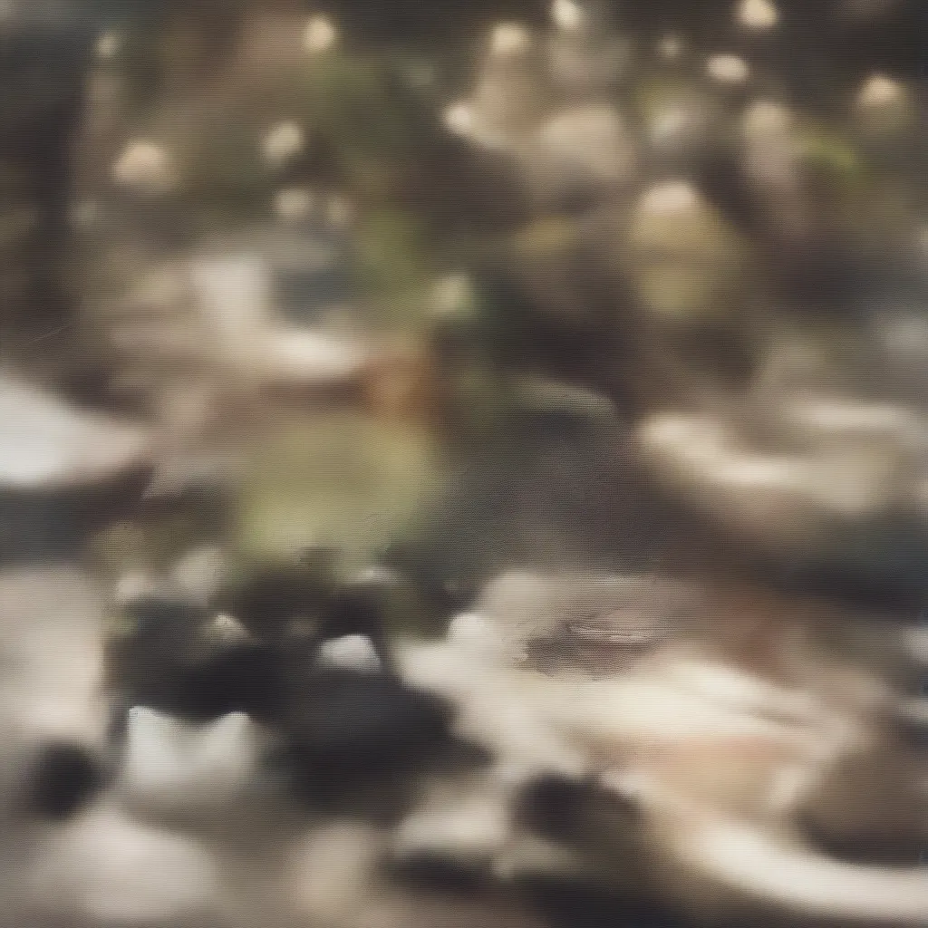 Mastering Formal Dinner Plate Settings