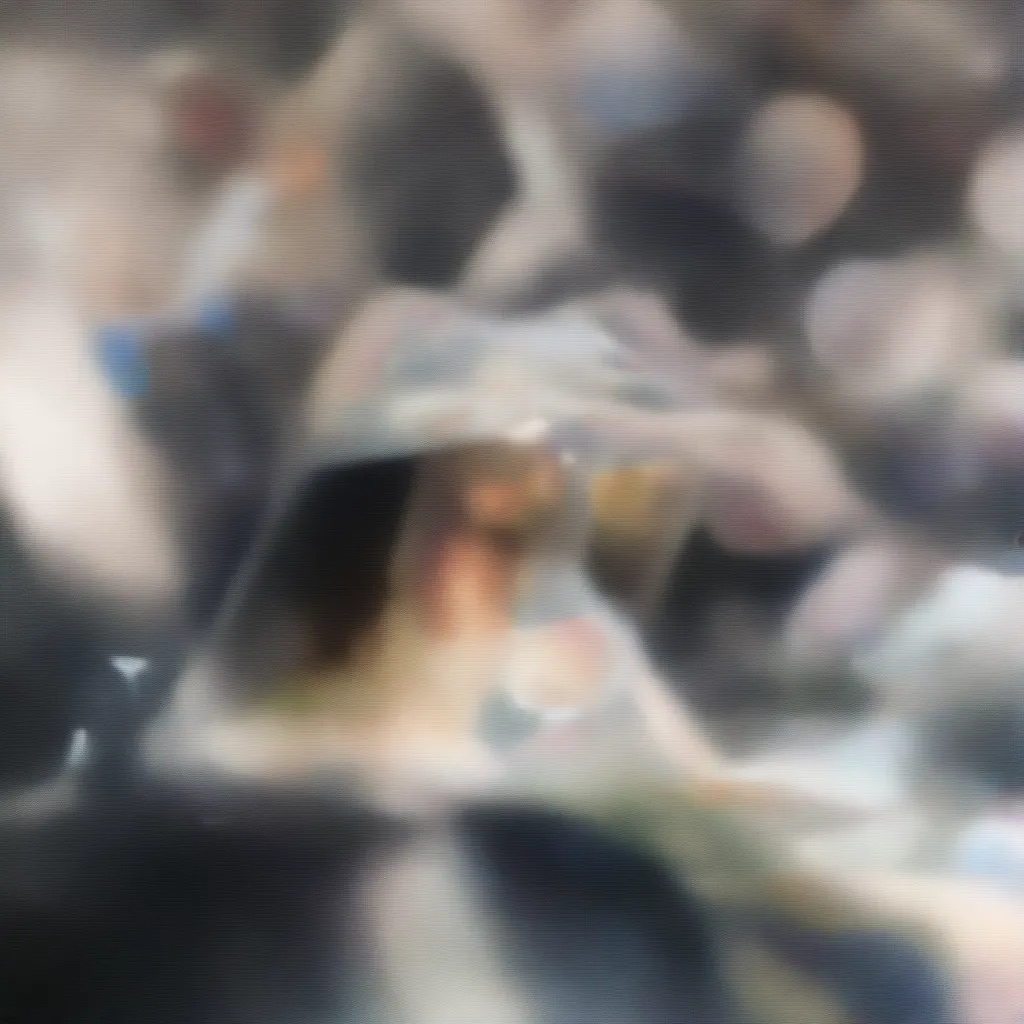 Understanding the FICO Credit Score Range and Its Impact