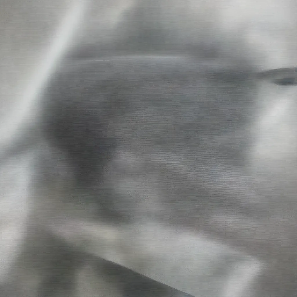 Understanding Toilet Drainage Issues and Solutions